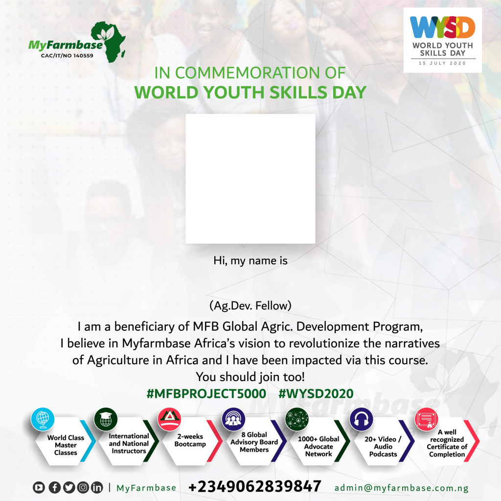 Create your personalized DP for MFB 2020 - GetDP